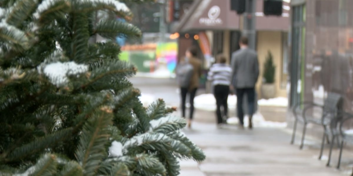 Combating Seasonal Affective Disorder Combating Seasonal Affective Disorder